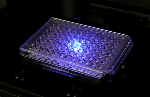 CELENA ® X High‑Content Imaging System | Logos Biosystems