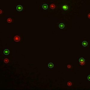 LUNA-FL™: Affordable Dual Fluorescence Cell Counter