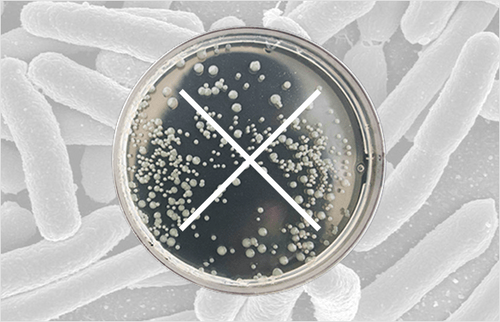 Accurate Bacterial Cell Counting with QUANTOM Tx™