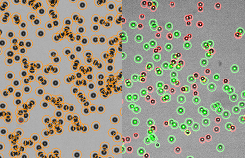 LUNA‑FX7™ Automated Cell Counter | Logos Biosystems