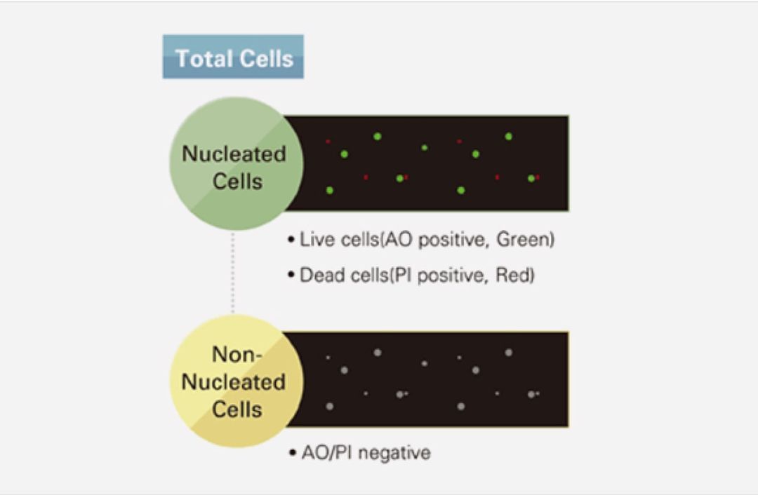 LUNA-STEM Stem Cell Counter for SVF Cell Analysis | Logos Biosystems
