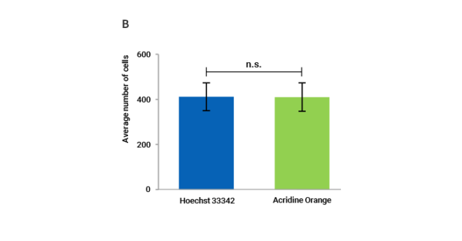 Automated Adherent Cell Counting with CELENA-X High-Content System
