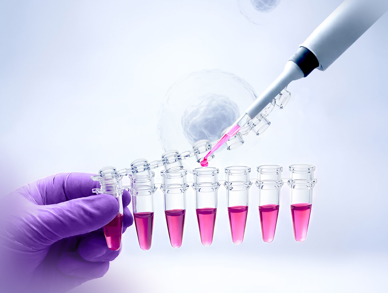 Cell Viability Stains: How to Choose the Right One | Logos Biosystems