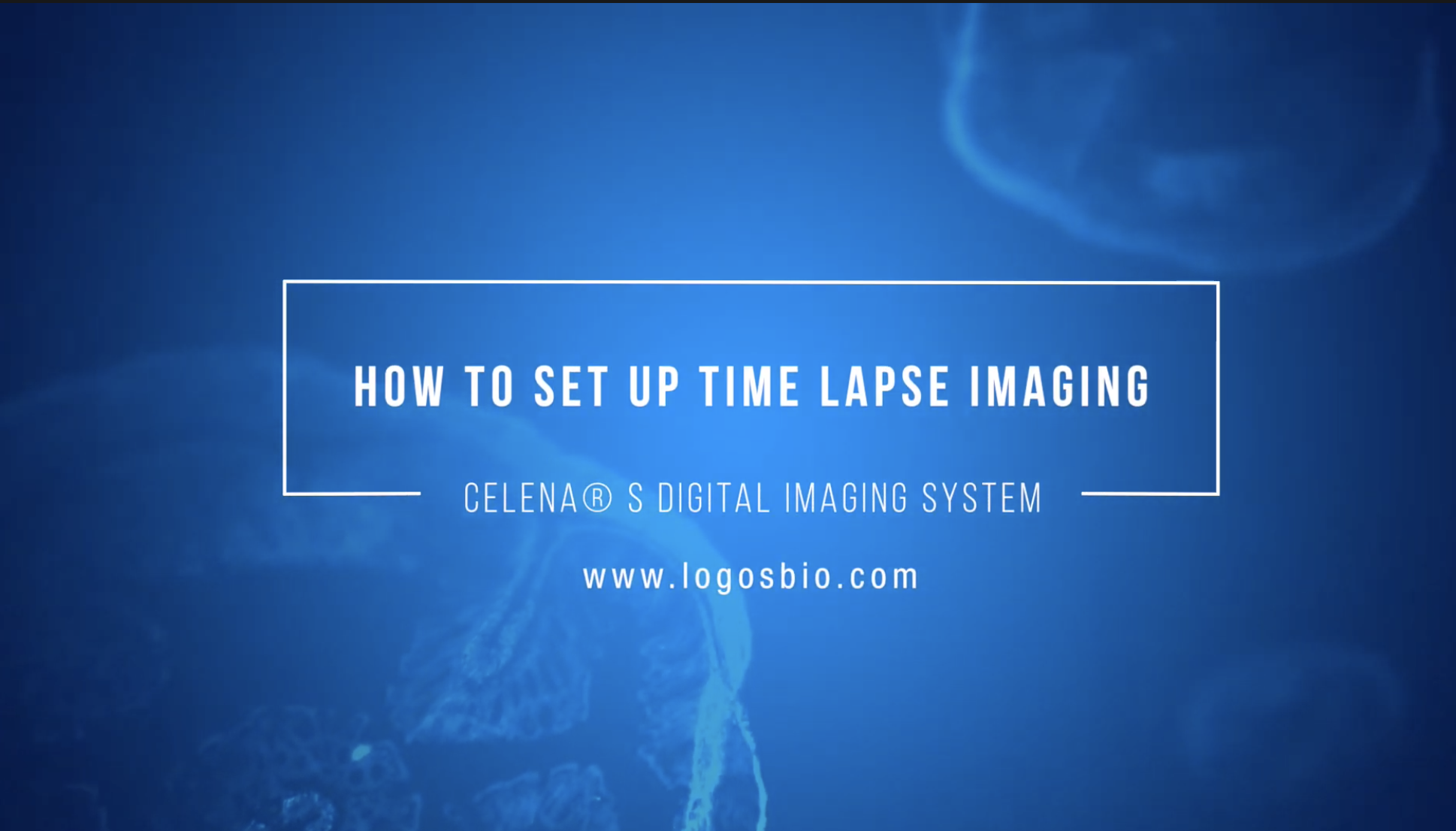 [Tutorial shots] Time lapse: How to set up time lapse imaging on the ...