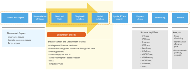 Automated Cell Evaluation for Single-Cell RNA-seq