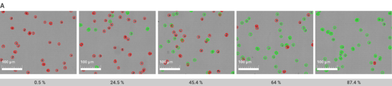 Yeast Cell Counting using the LUNA-FX7™Automated Cell Counter – Logos Biosystems | Advanced ...