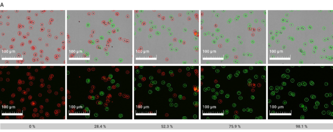 Yeast Cell Counting using the LUNA-FX7™Automated Cell Counter – Logos Biosystems | Advanced ...
