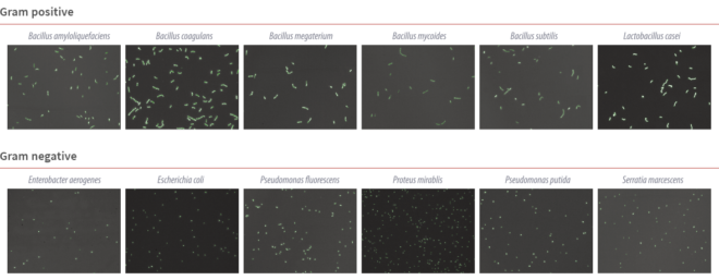 QUANTOM Tx™ Microbial Cell Counter for Rapid Enumeration – Logos ...