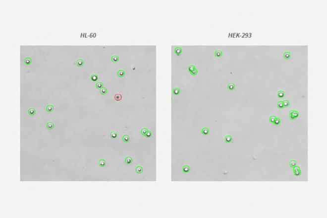 Rapid and accurate cell enumeration with the CELENA® S Digital Imaging ...