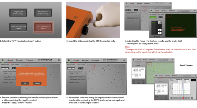 GFP Transfection Efficiency Analysis with LUNA‑FL™