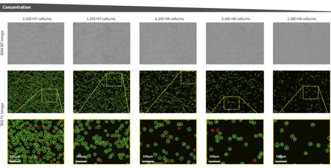 Optimal Cell Counting Range Analysis – LUNA-FX7™