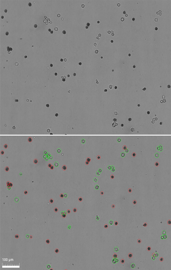 BAEC – Logos Biosystems