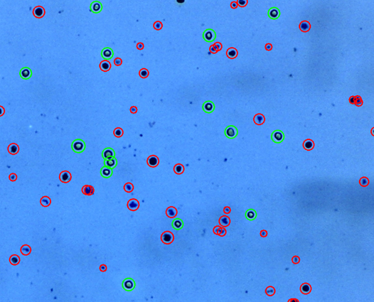 CHO – Logos Biosystems | Advanced Imaging Solutions for Research Excellence