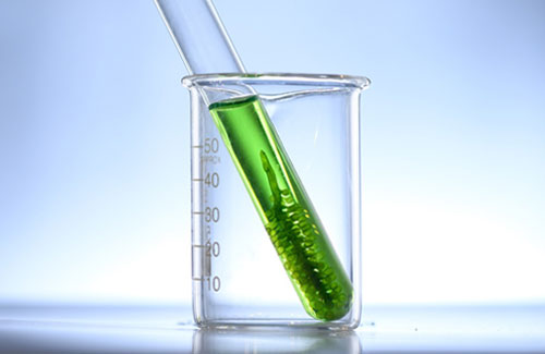 Protoplast Viability Assessment with LUNA‑FX7™ Automated Cell Counter