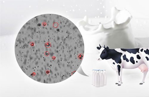 Somatic Cell Counting: Flow Cytometer to LUNA-FX7