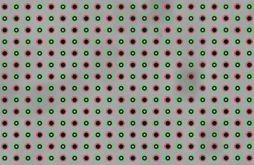 Validation Slides for Accurate Automated Cell Counting