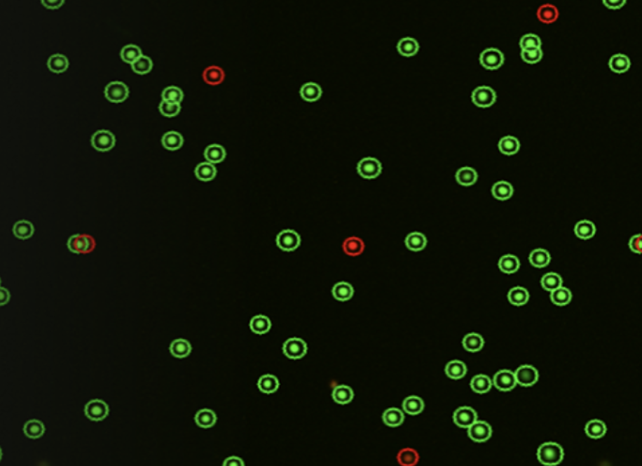 Monitoring CAR-T Cell Therapy Production Using the LUNA-FX7™ – Logos ...