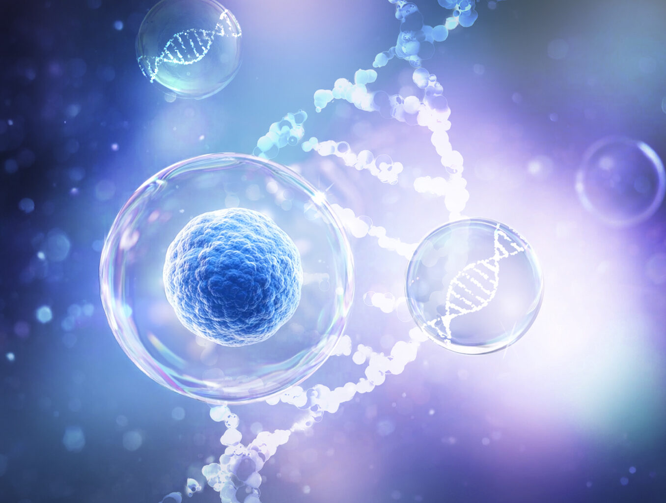 Transfection Efficiency Optimization Guide for Reliable Gene Expression ...