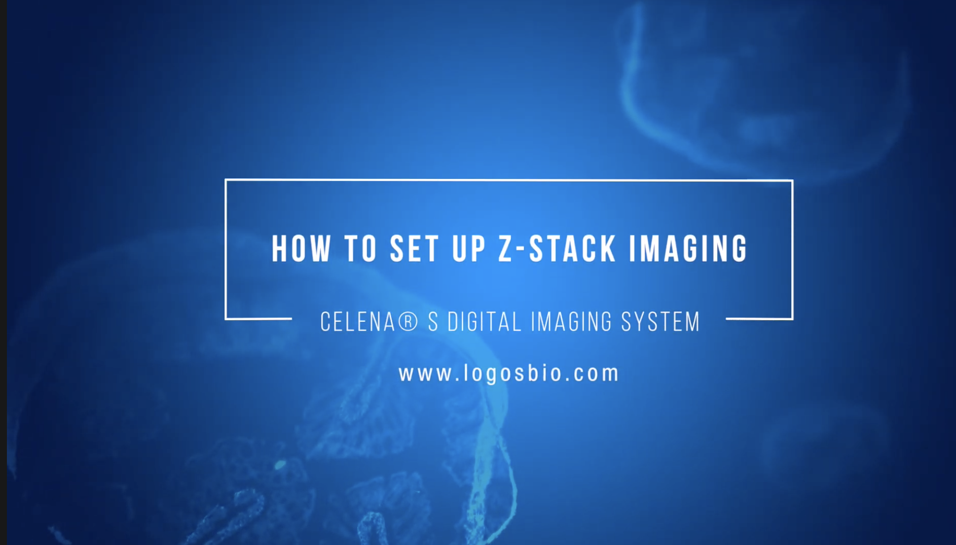 [Tutorial shots] Z-stack: How to set up Z-stack imaging on the CELENA ...