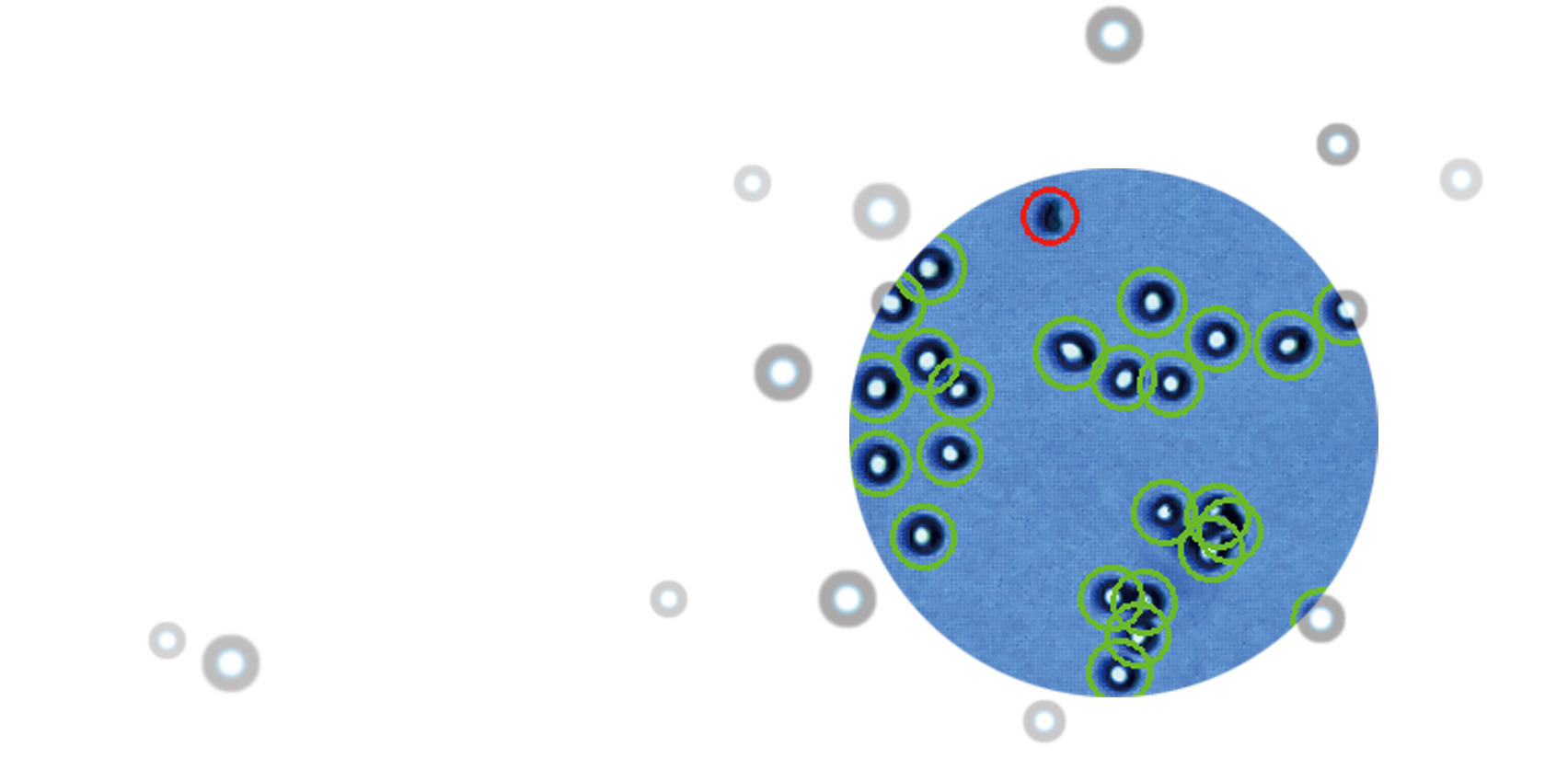 Cell Counting with Logos Biosystems: Made Diverse, Simple, and Accurate ...