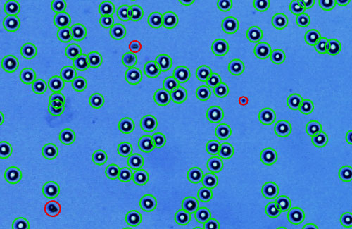 The Ultimate Guide to Cell Viability Measurement