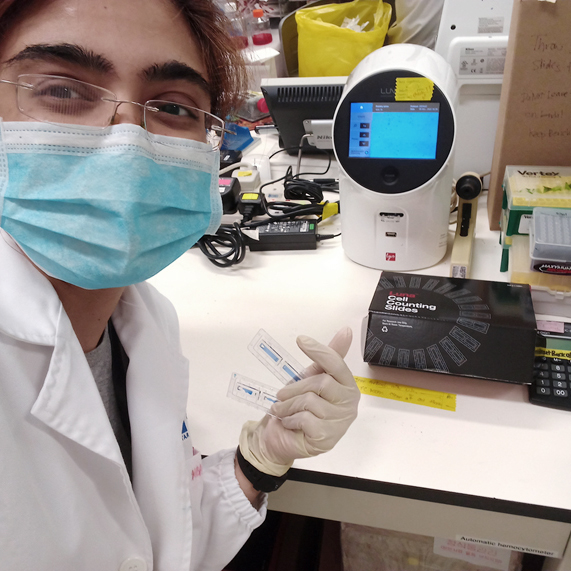 A*Star – Logos Biosystems | Advanced Imaging Solutions for Research ...